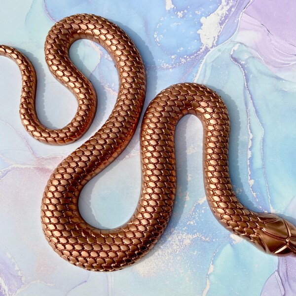 Snake Wall Art - Etsy