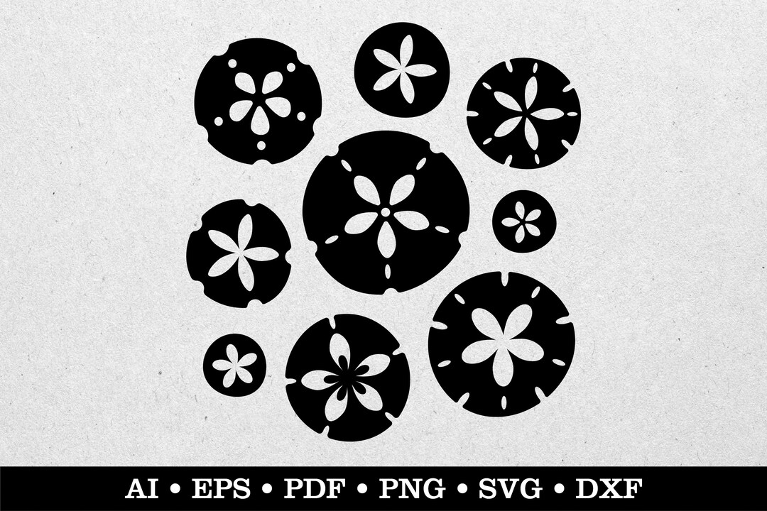Sand Dollar Clipart, Sand Dollars Svg, Sand Dollar Drawing, Sea Shells ...