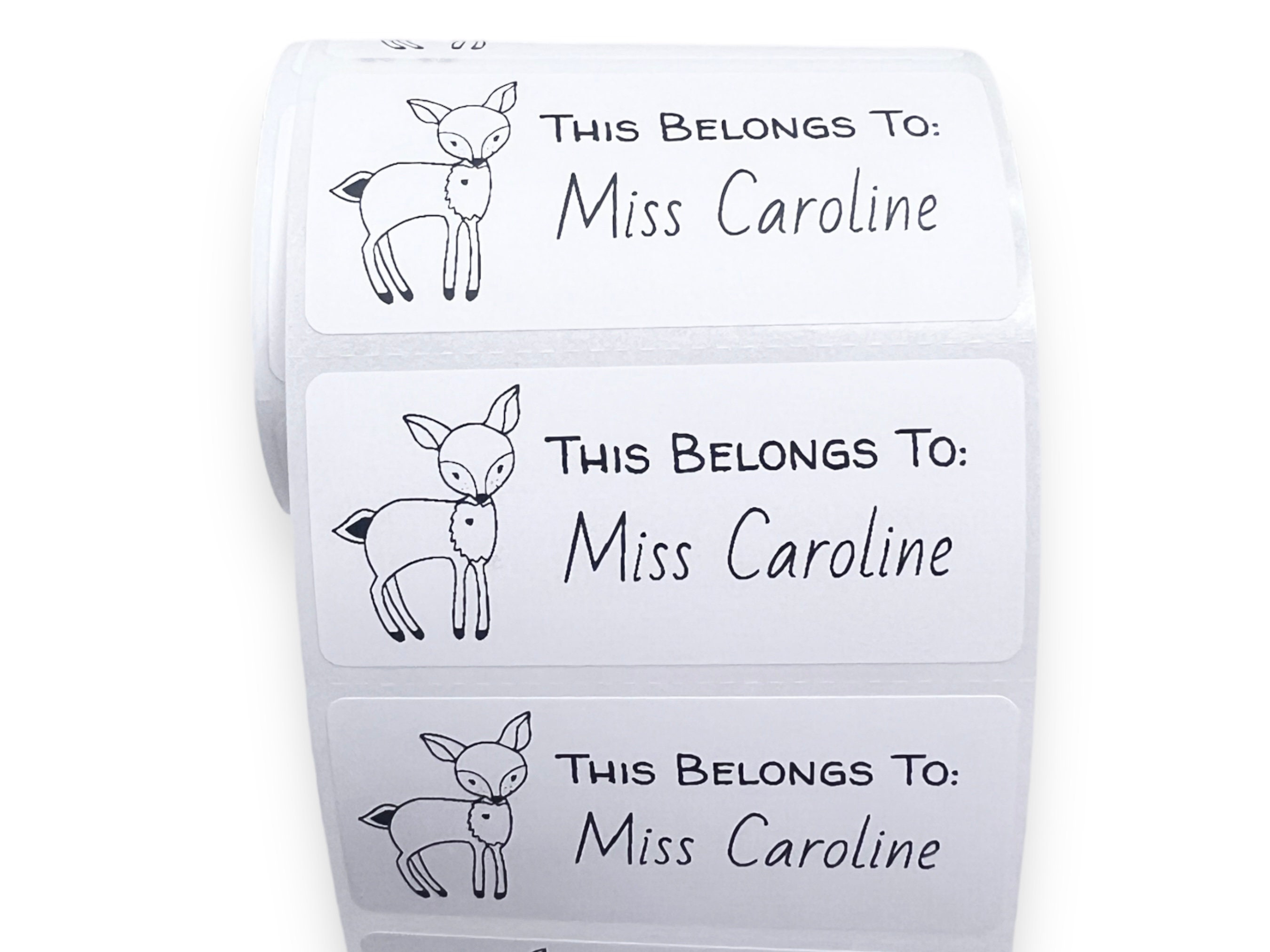 Teacher Labels, Book Stickers, Teacher Name, This Belongs to ...