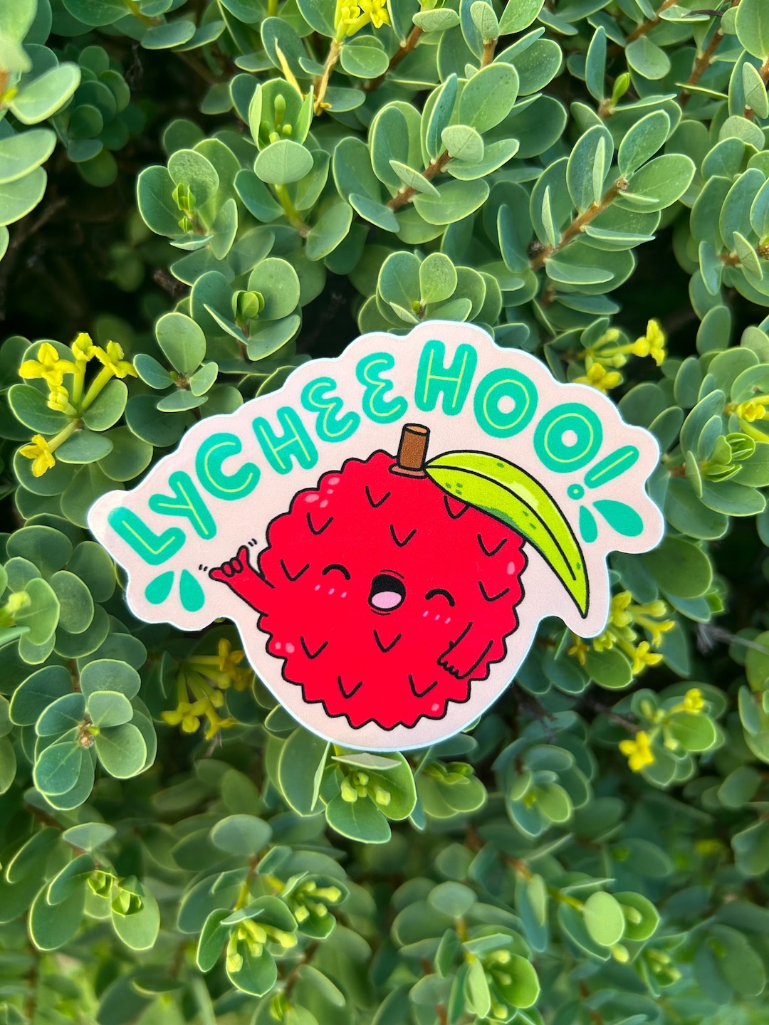 Lycheehoo! Cute Hawaii Lychee Food Waterproof Glossy Vinyl Sticker ...