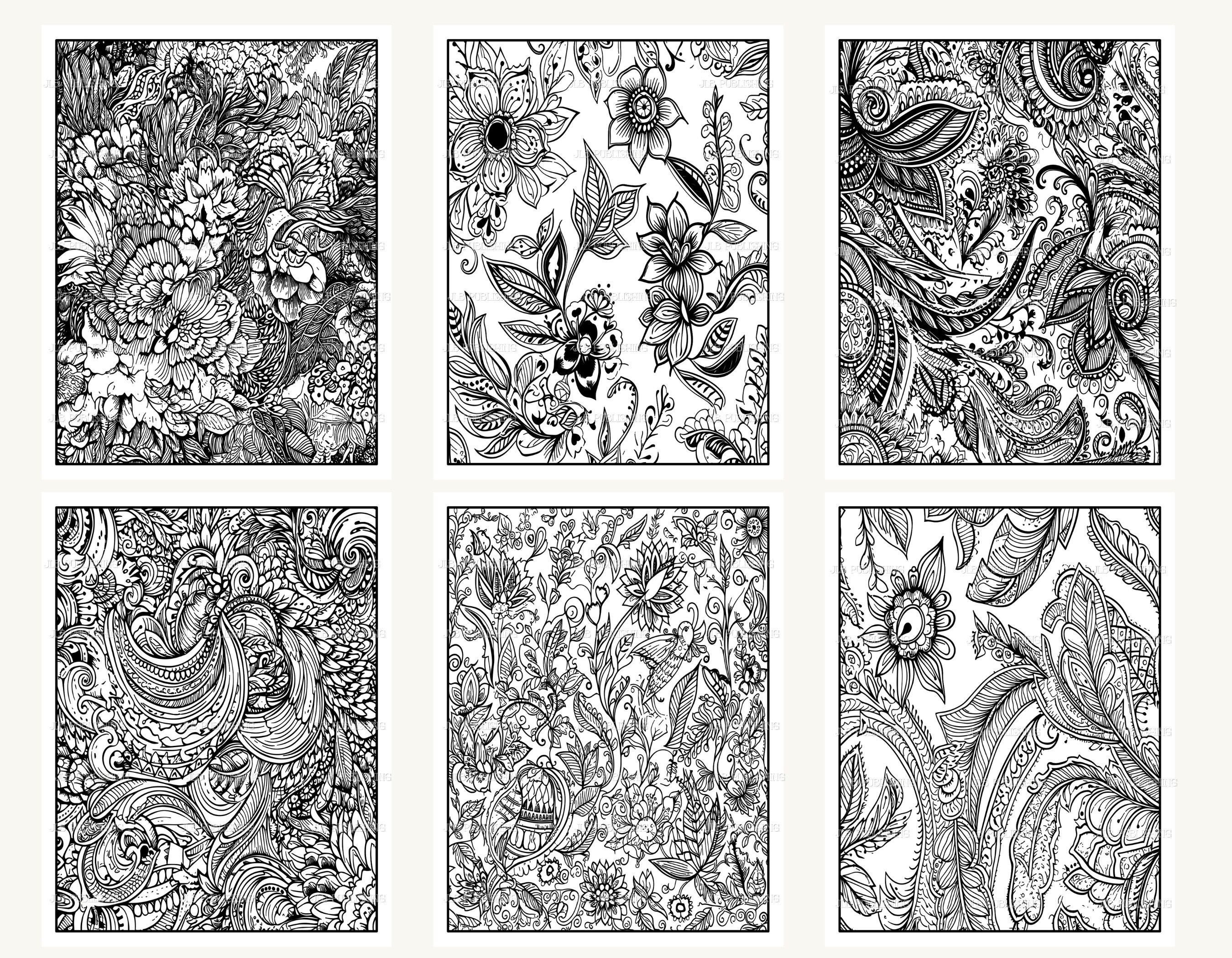 20 Zen Floral Patterns Set 1 Coloring Pages | Adult Coloring Book ...