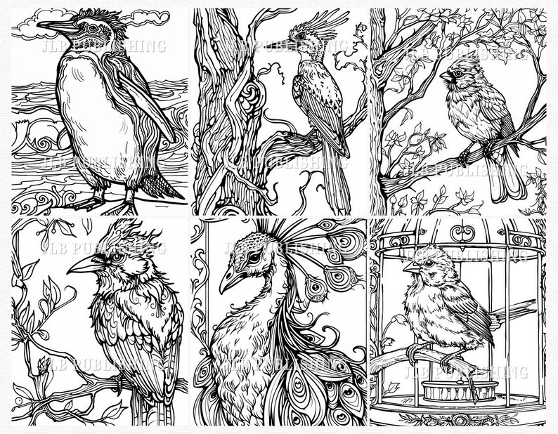 36 World of Birds Coloring Pages| Adult Kid Coloring Book Download ...