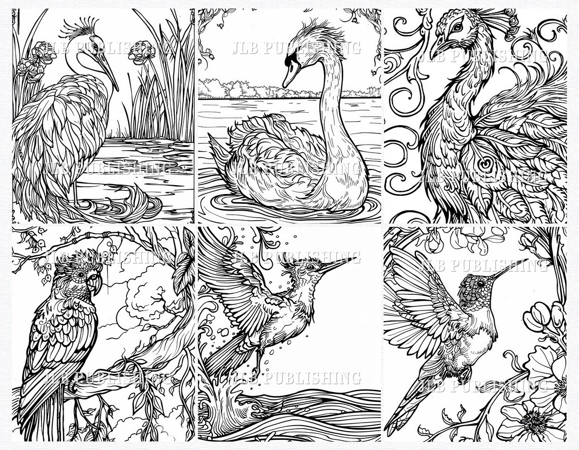 36 World of Birds Coloring Pages| Adult Kid Coloring Book Download ...