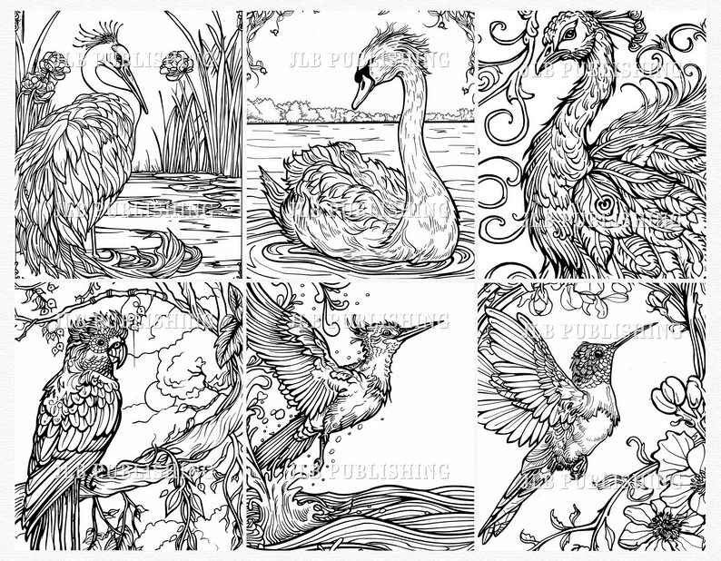 36 World of Birds Coloring Pages| Adult Kid Coloring Book Download ...