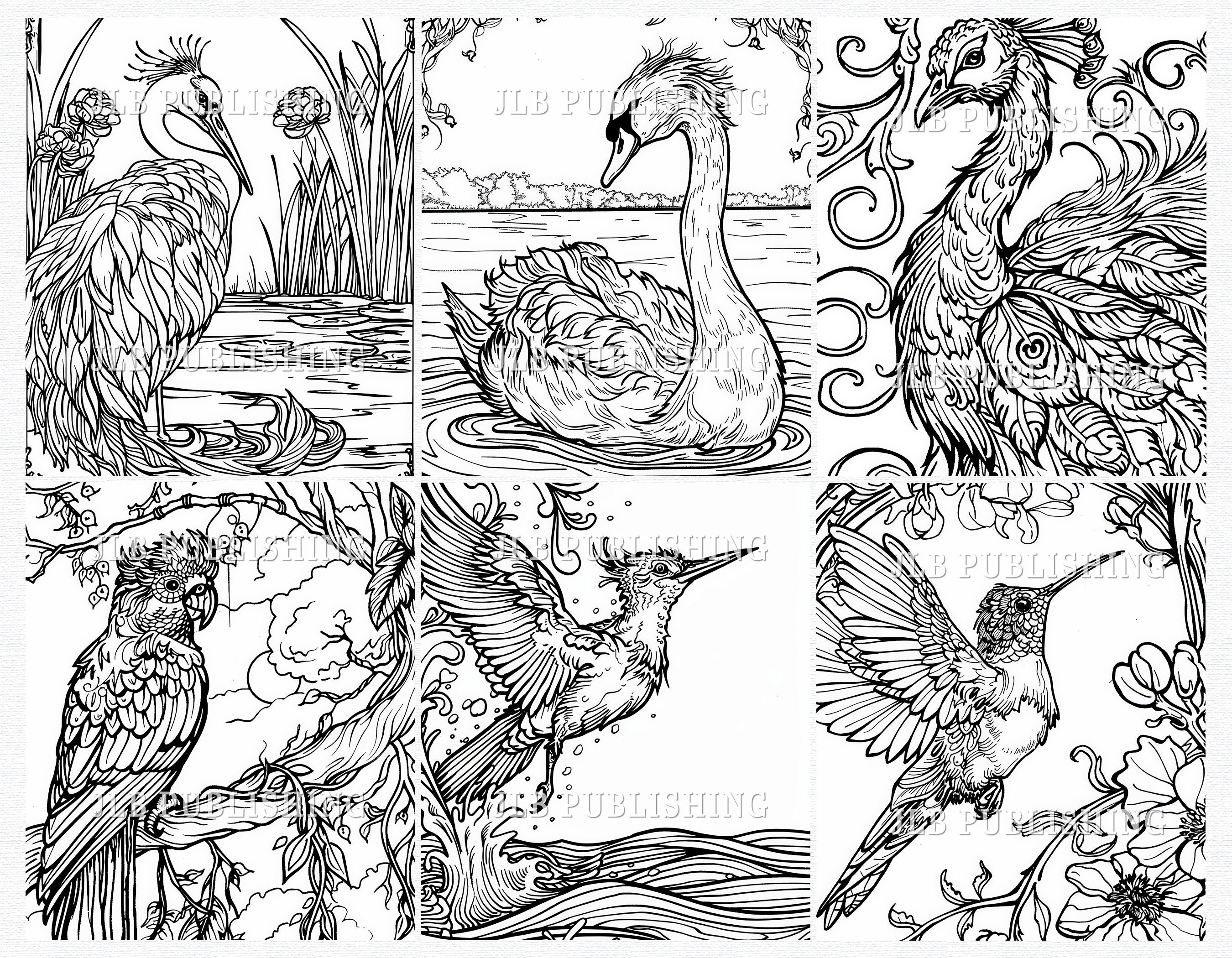 36 World of Birds Coloring Pages Adult Kid Coloring Book Download ...