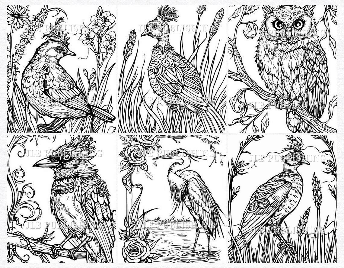 36 World of Birds Coloring Pages| Adult Kid Coloring Book Download ...