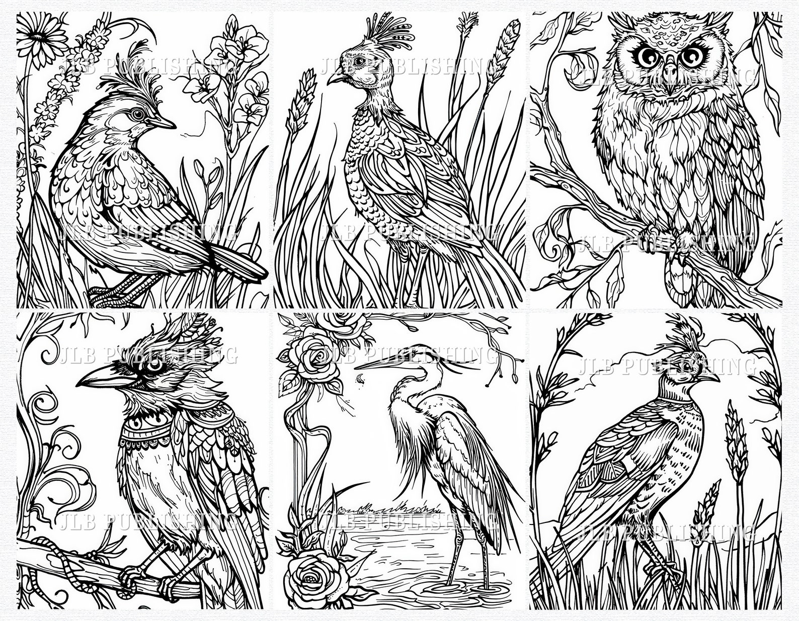 36 World of Birds Coloring Pages| Adult Kid Coloring Book Download ...