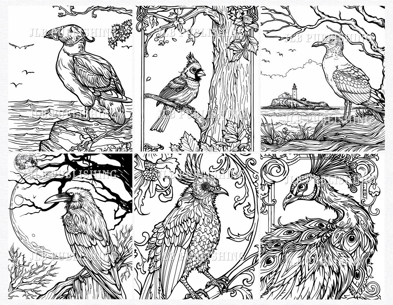 36 World of Birds Coloring Pages| Adult Kid Coloring Book Download ...