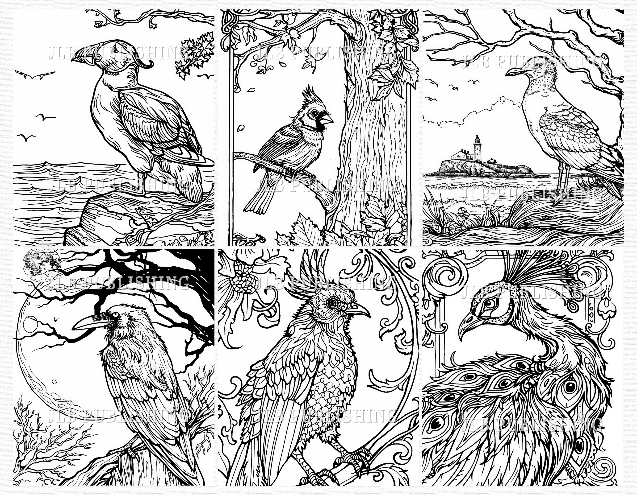36 World of Birds Coloring Pages Adult Kid Coloring Book Download ...