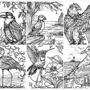 36 World of Birds Coloring Pages| Adult Kid Coloring Book Download ...