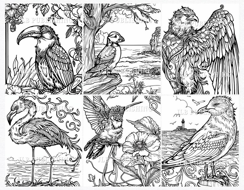 36 World of Birds Coloring Pages| Adult Kid Coloring Book Download ...