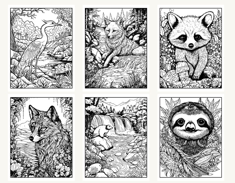 20 Animals in the Wild Coloring Pages Adult Coloring Book - Etsy