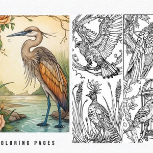 36 World of Birds Coloring Pages| Adult Kid Coloring Book Download ...