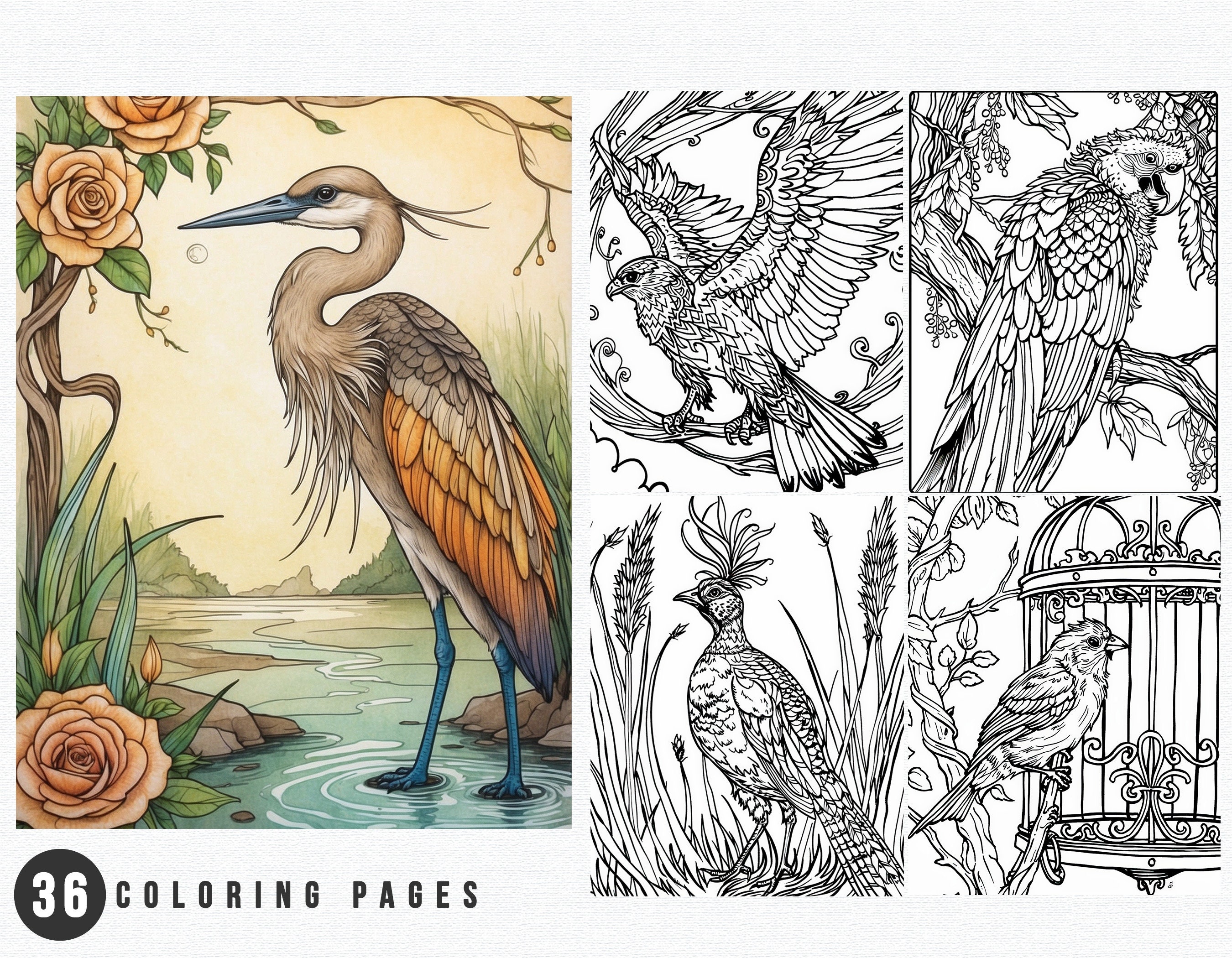 36 World of Birds Coloring Pages Adult Kid Coloring Book Download ...