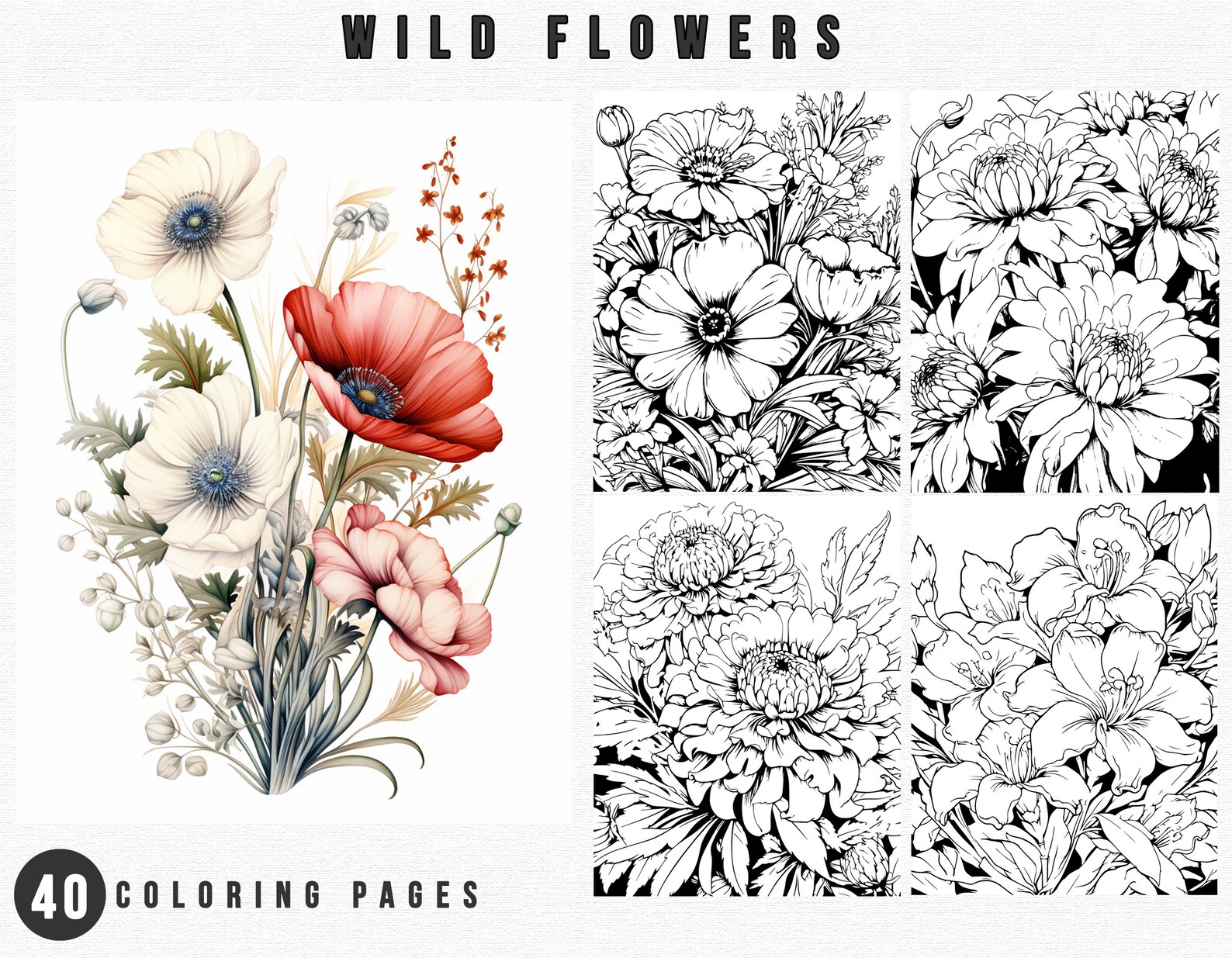 40 Wild Flowers Coloring Pages Adult Coloring Book Download Printable ...