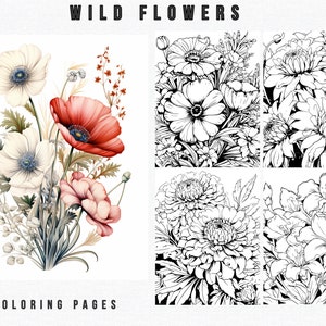 40 Wild Flowers Coloring Pages Adult Coloring Book Download Printable ...