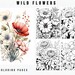 40 Wild Flowers Coloring Pages Adult Coloring Book Download Printable ...