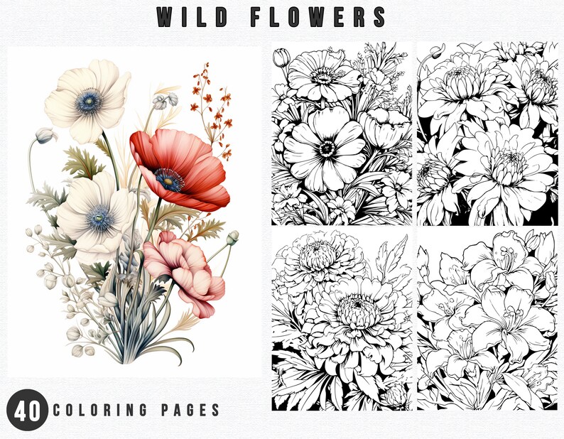 40 Wild Flowers Coloring Pages Adult Coloring Book Download Printable ...