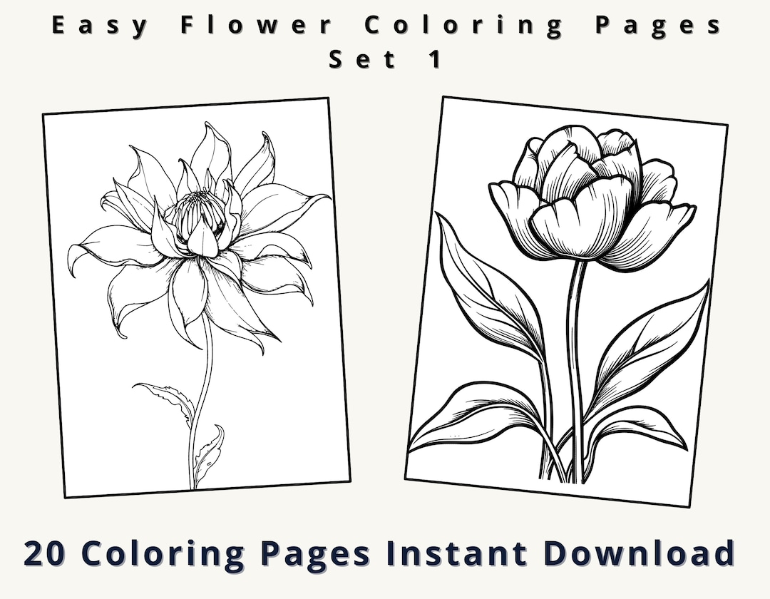 20 Simple Flower Coloring Pages Set 1| Adult's Coloring Book Download ...