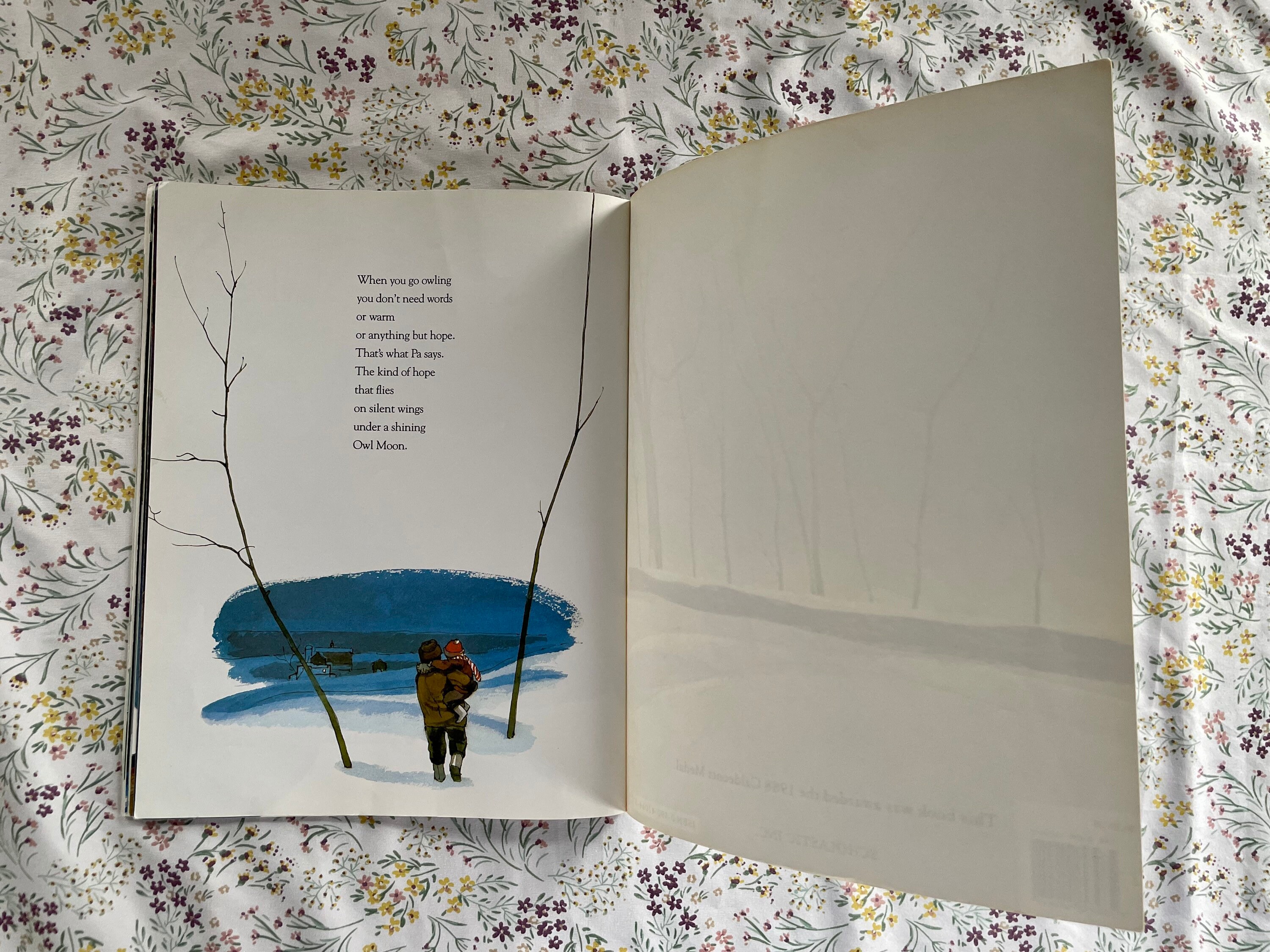 Vtg Scholastic Owl Moon Jane Yolen Softcover 1988 Caldecott Medal - Etsy