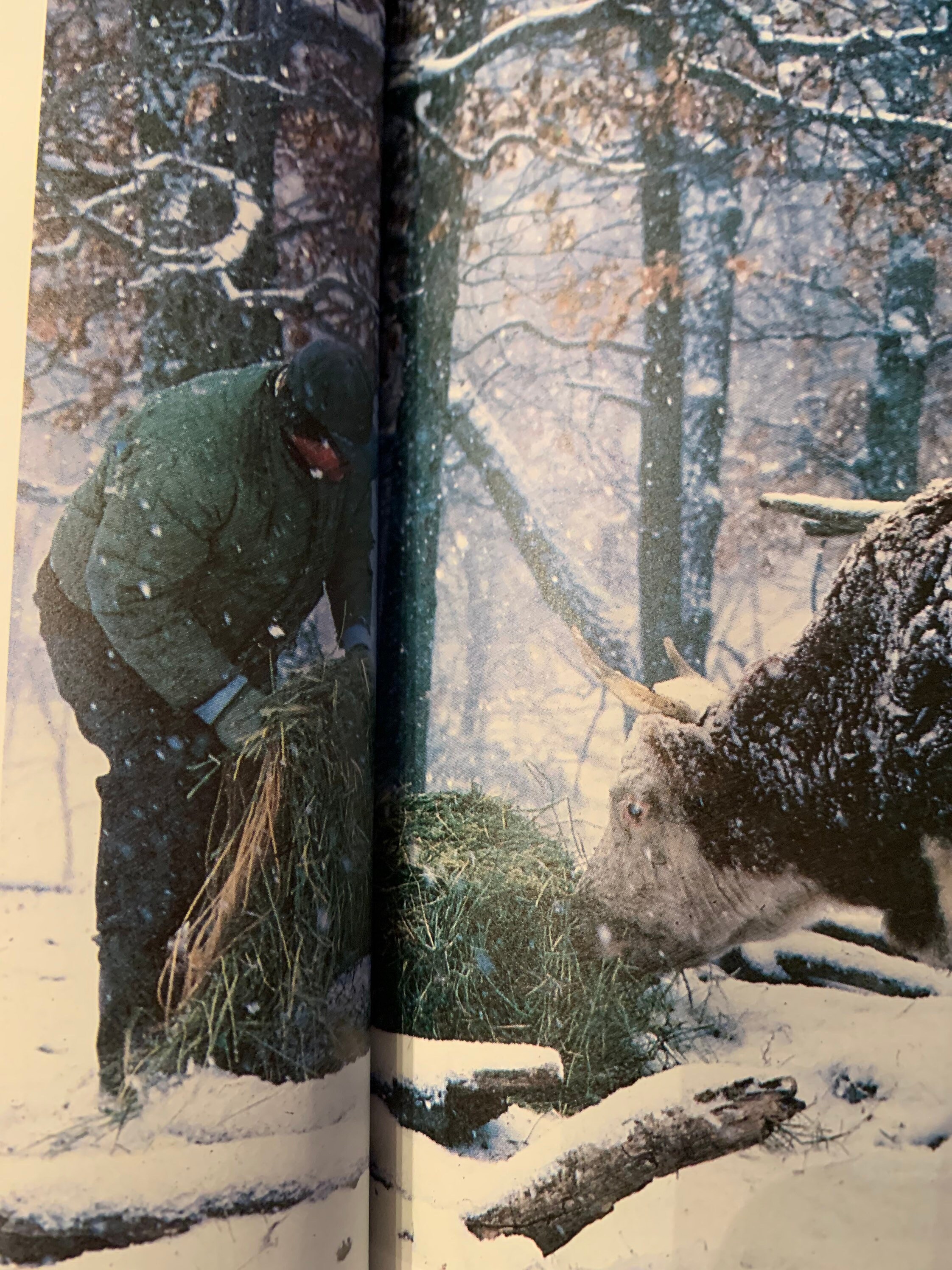 Helping Our Animal Friends Books for Young Explorers National ...