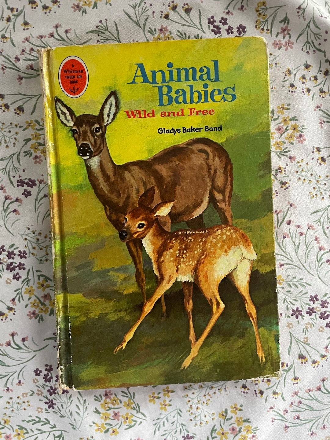 Vtg Animal Babies Wild and Free Whitman Tween Book 60s HC Gladys Baker ...