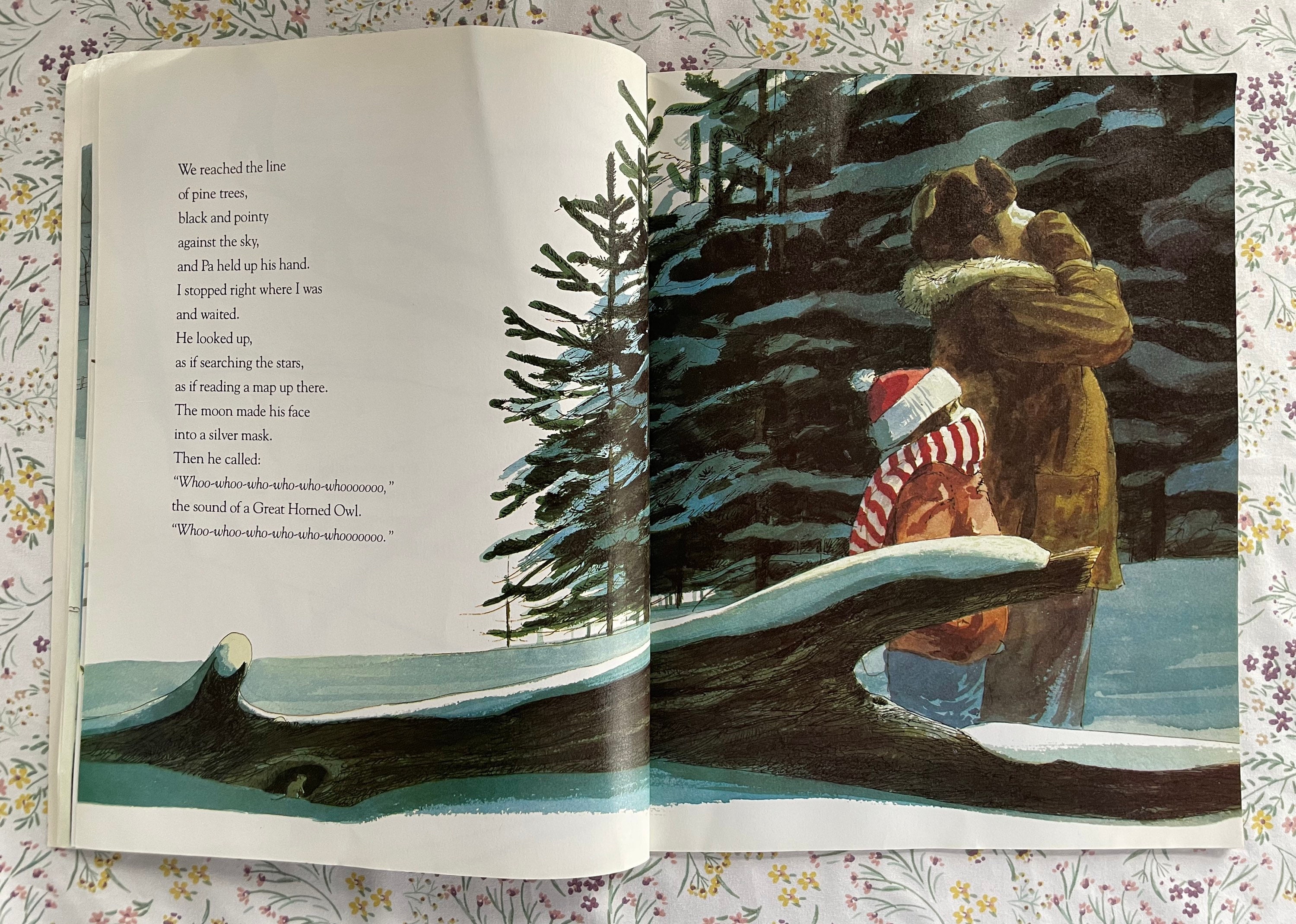 Vtg Scholastic Owl Moon Jane Yolen Softcover 1988 Caldecott Medal - Etsy