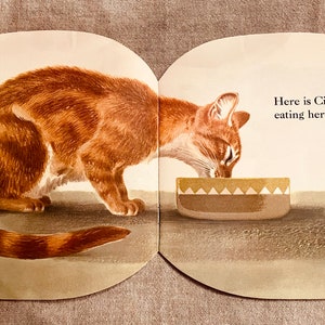 Vintage the Cat Book Golden Shape Book 60s Jan Pfloog - Etsy
