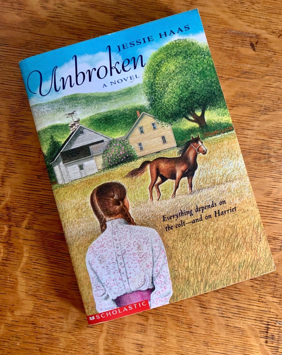Vintage Unbroken Jessie Haas Scholastic 2001 Chapter Book Horse Book - Etsy