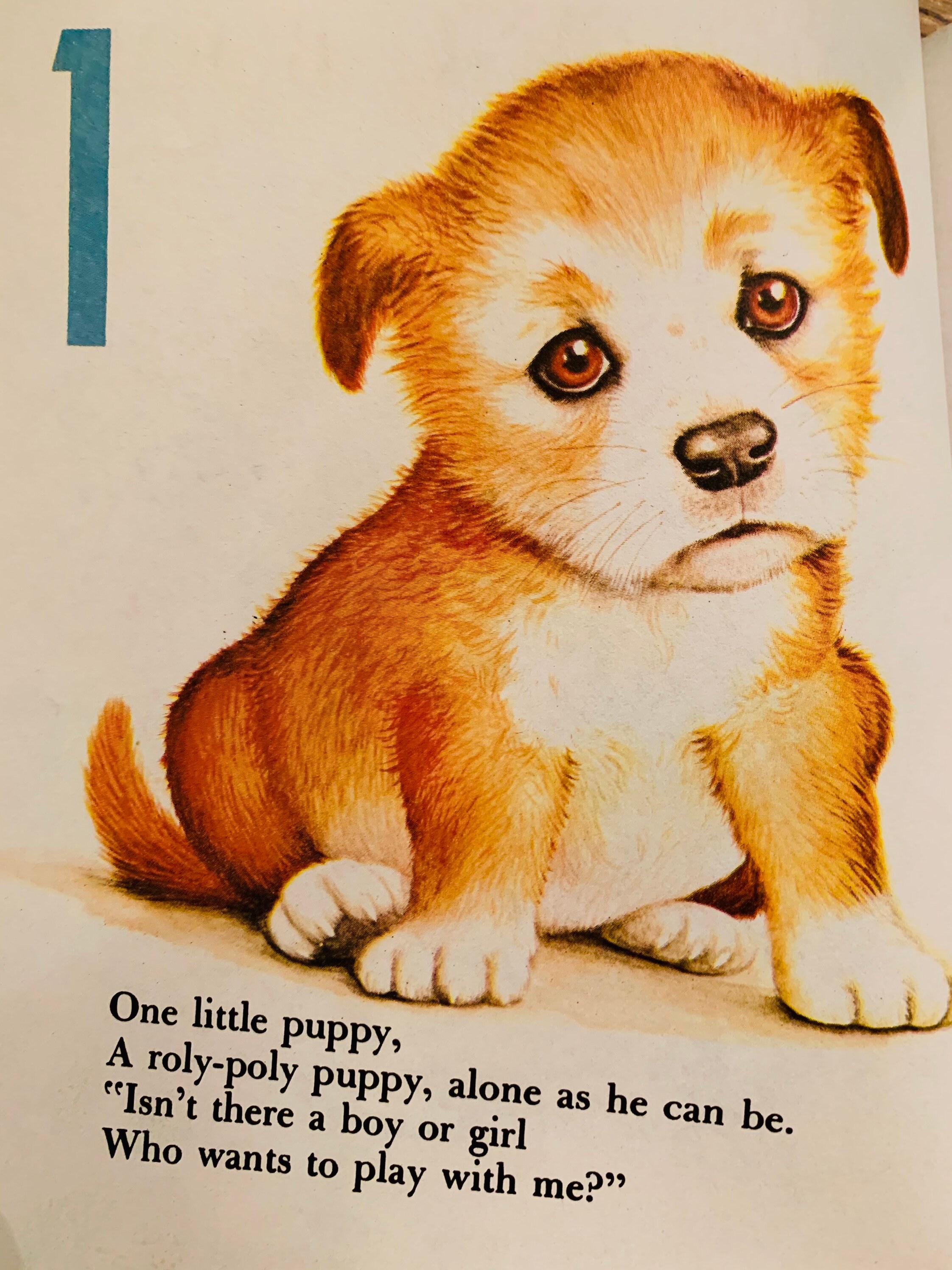 A Little Golden Book My First Counting Book 1957 Copyright M Printing ...