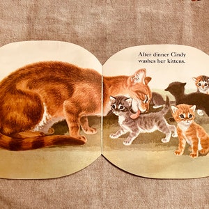 Vintage the Cat Book Golden Shape Book 60s Jan Pfloog - Etsy