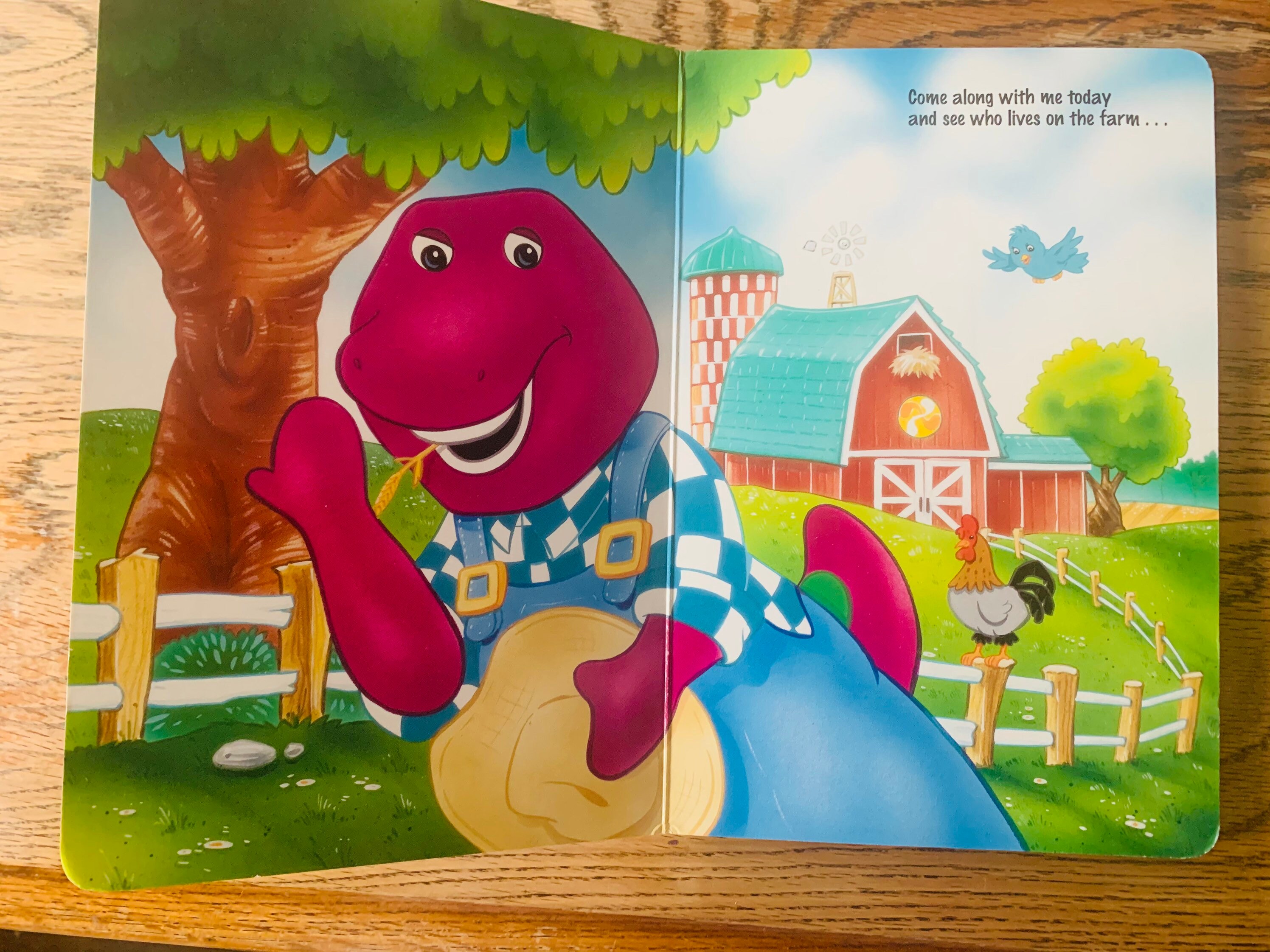 Vintage Barneys Animal Homes Lift and Peek Board Book Written - Etsy