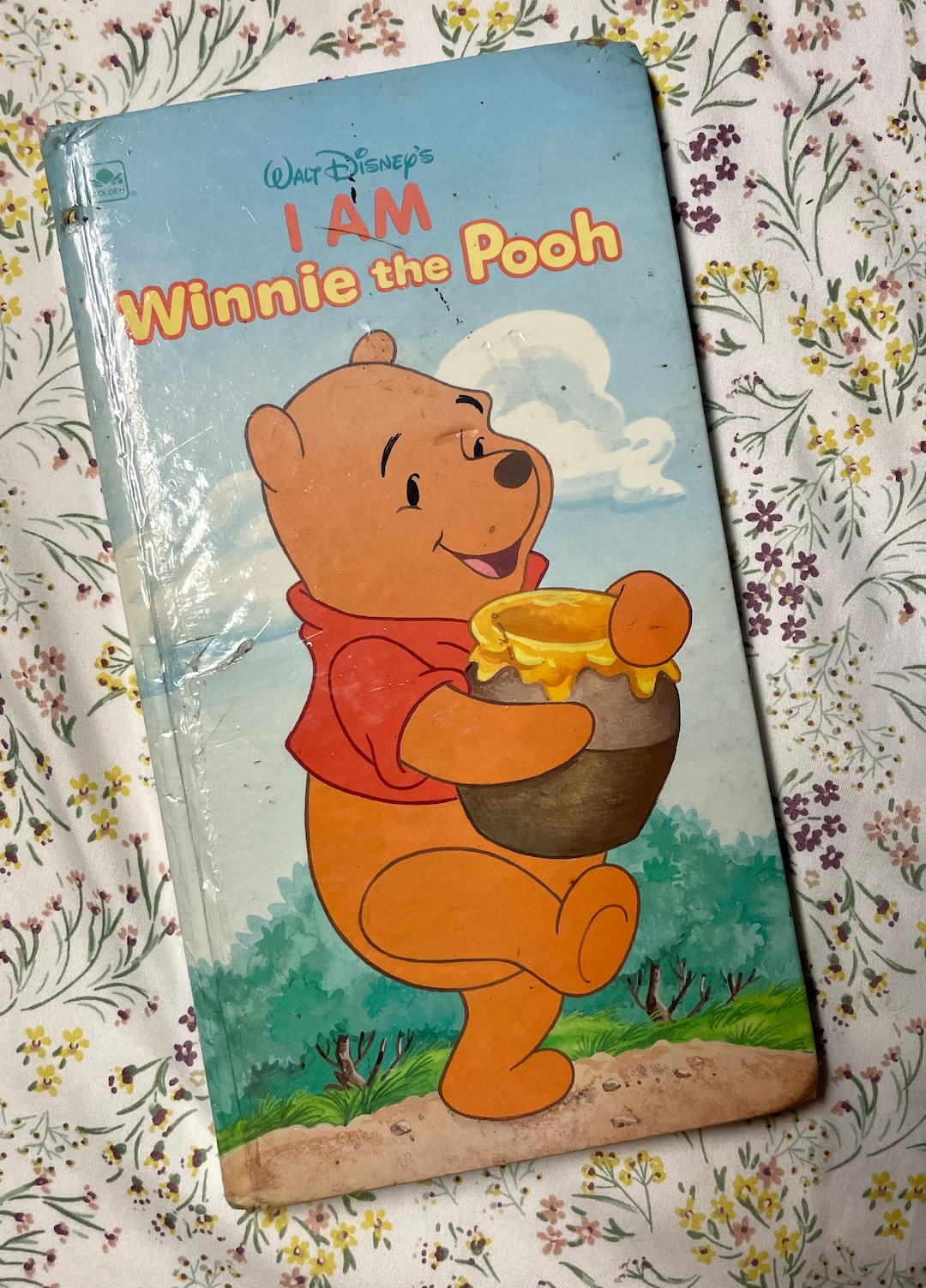 Vtg Walt Disney’s I Am Winnie the Pooh 90s Golden Sturdy Book Kids ...