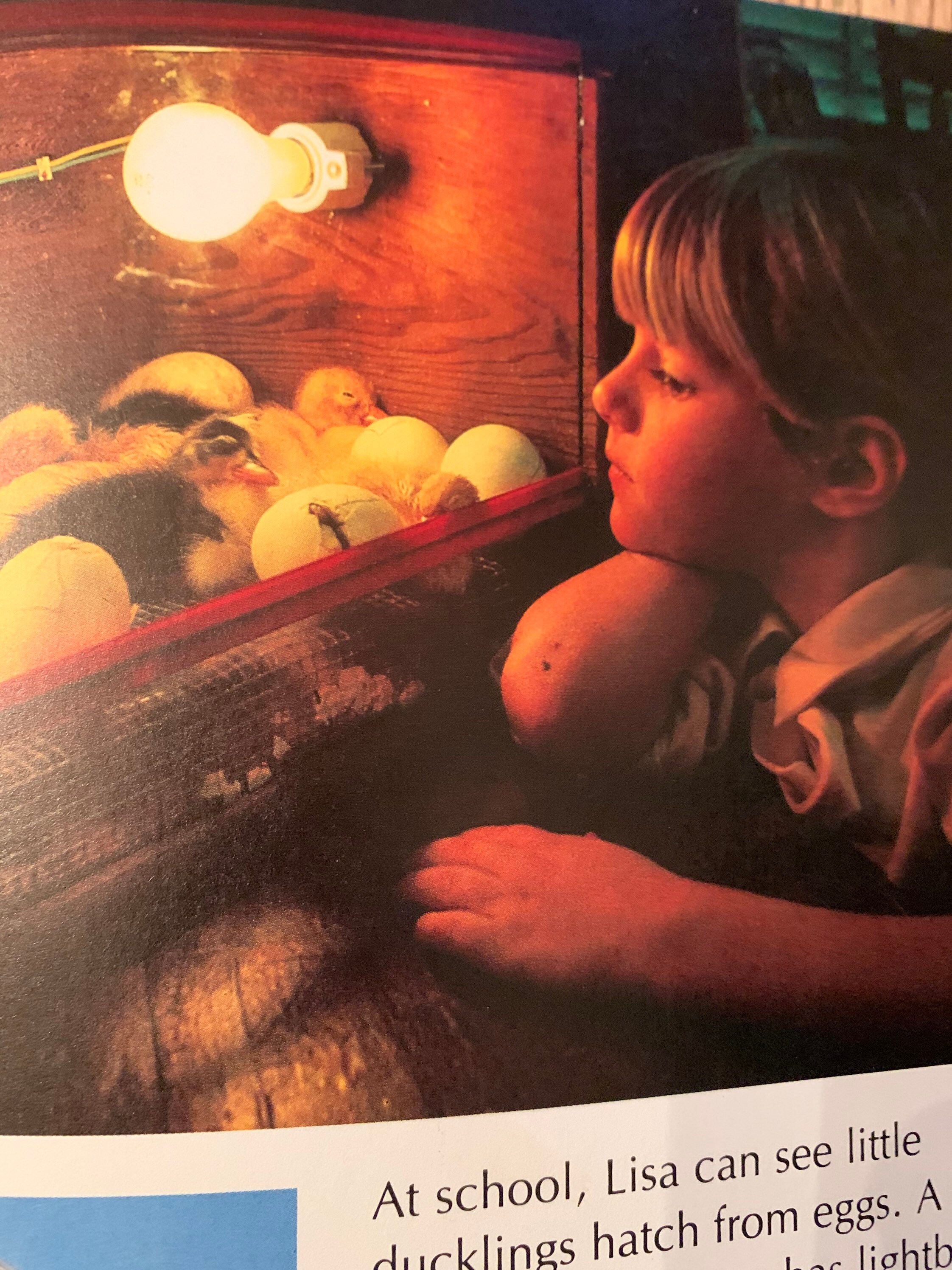 Helping Our Animal Friends Books for Young Explorers National ...