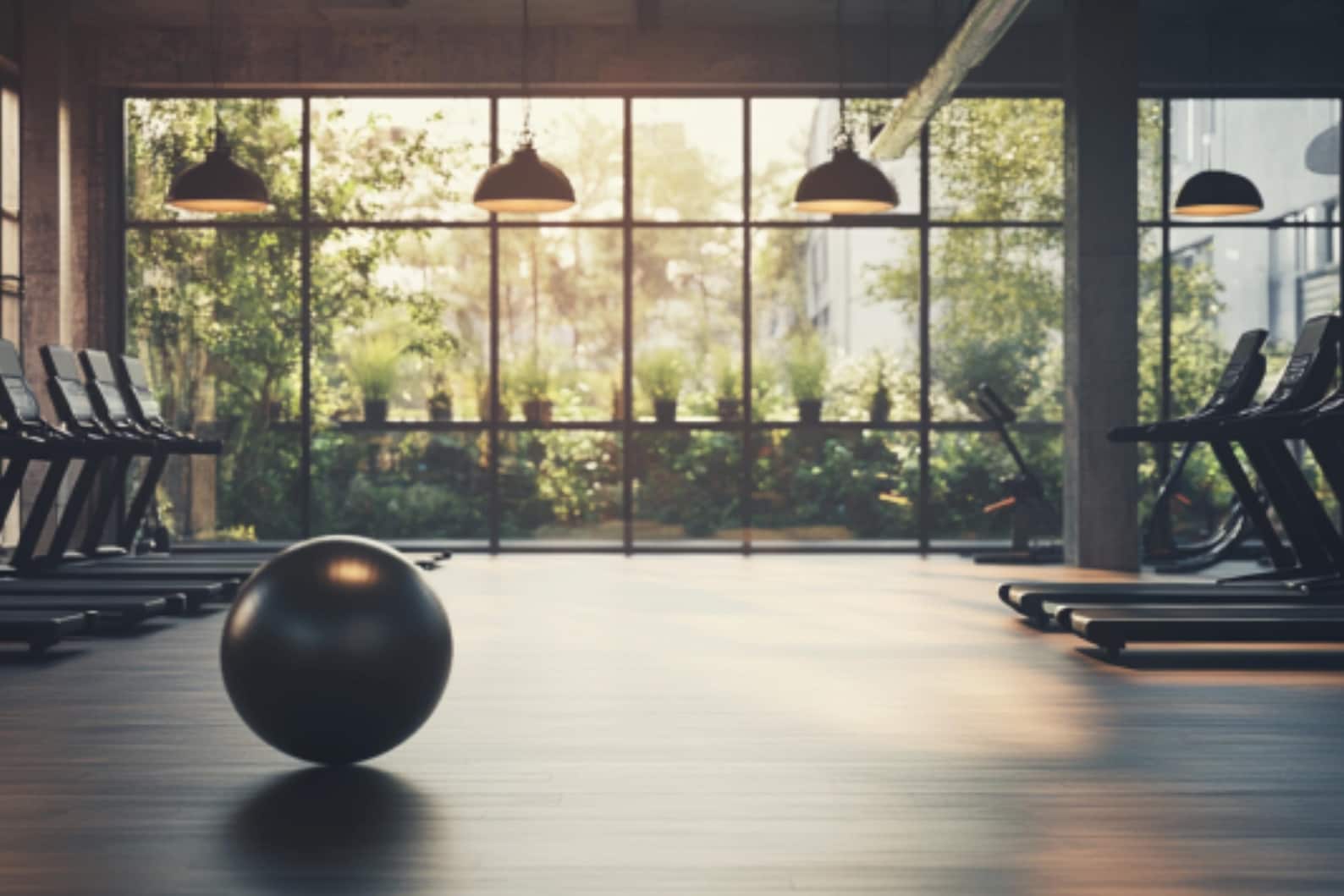 Gym Fitness Background| Gym Background| Coach Back Ground| Photo ...