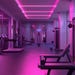 Gym Health Background| Personal Trainer Background| Coach Back Ground ...
