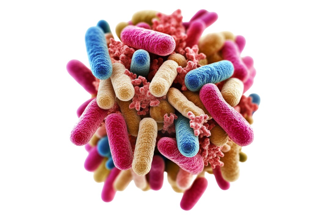 Bacteria Png| Kids Gift |health Poster| Social Media Flyer| Heart ...