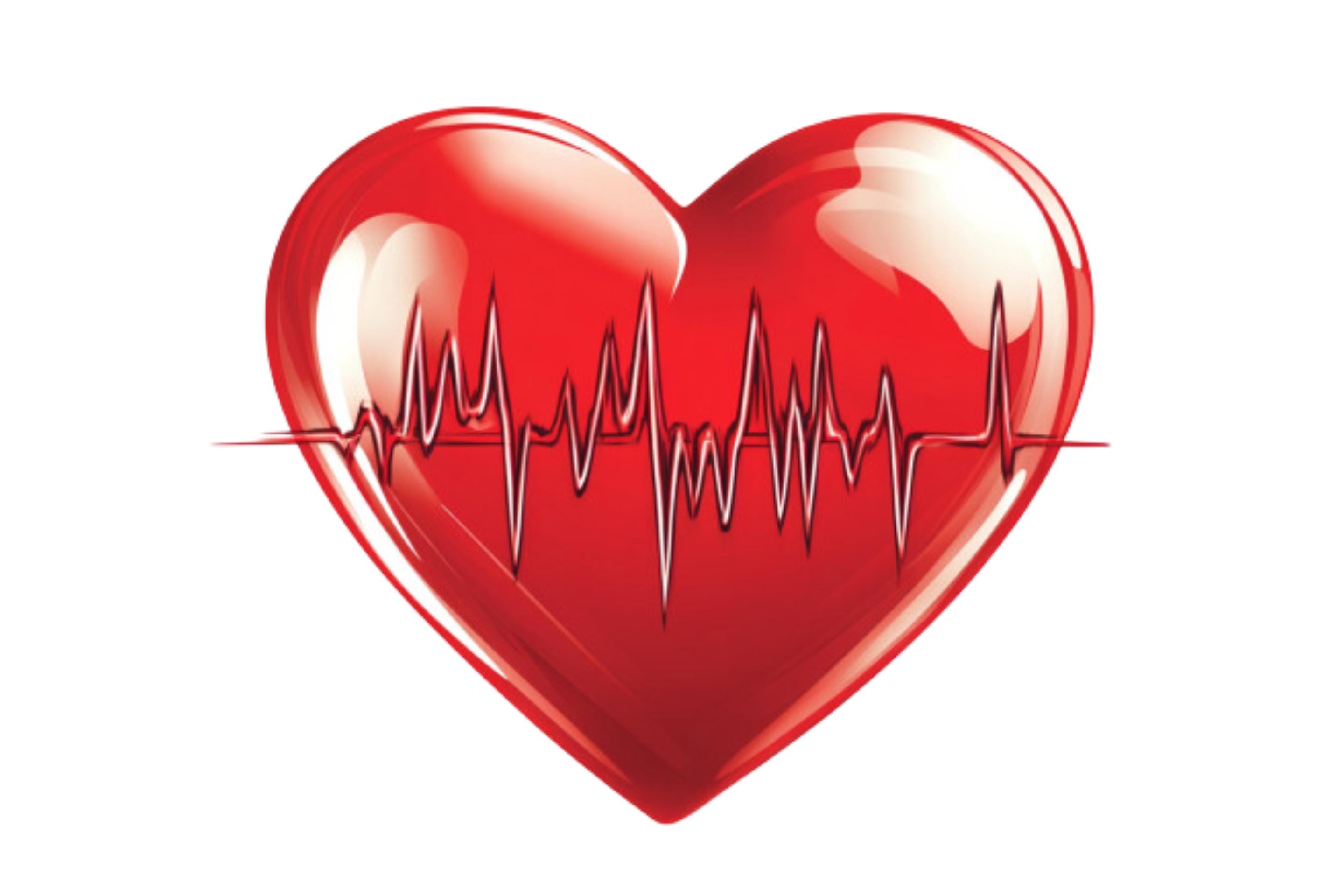 Heart Png| Health Poster|colorful|heart Beat|socialmedia|planner ...