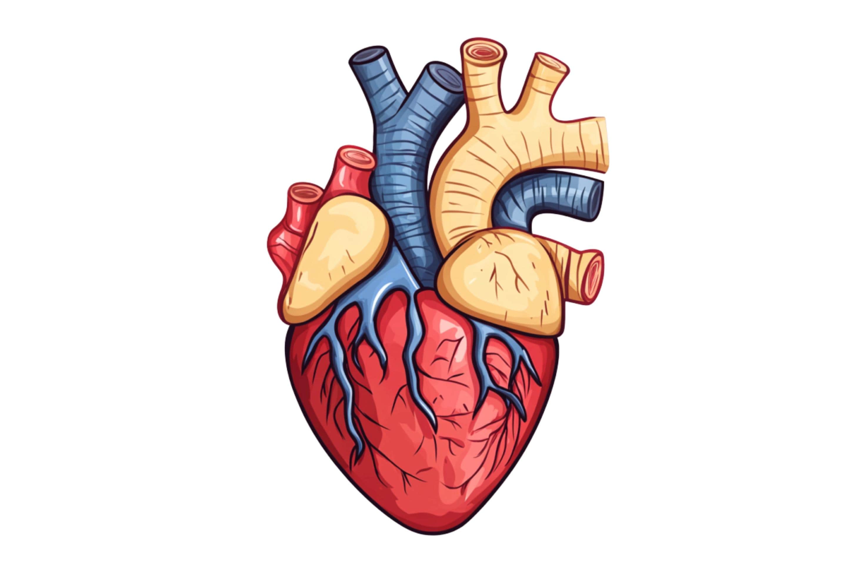 Cpr Health Png| Health Poster| Cpr| Heart Beat | |social Media|planner ...