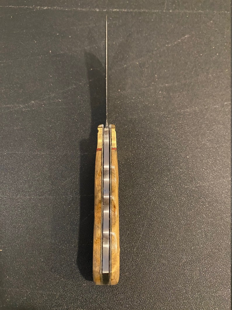 Custom Hawkbill - Etsy