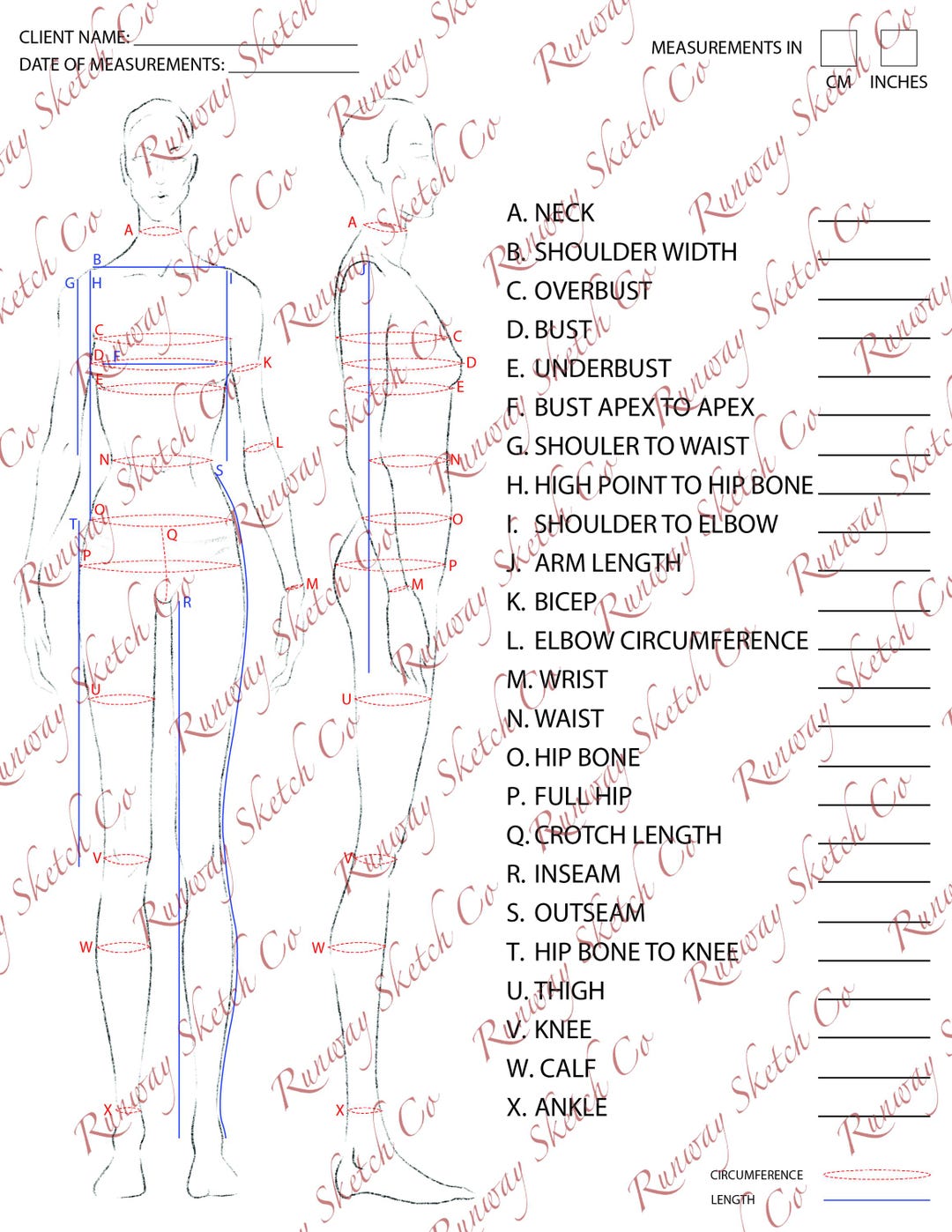 Women Measurement Chart | AI File and PDF | Editable & Downloadable - Etsy