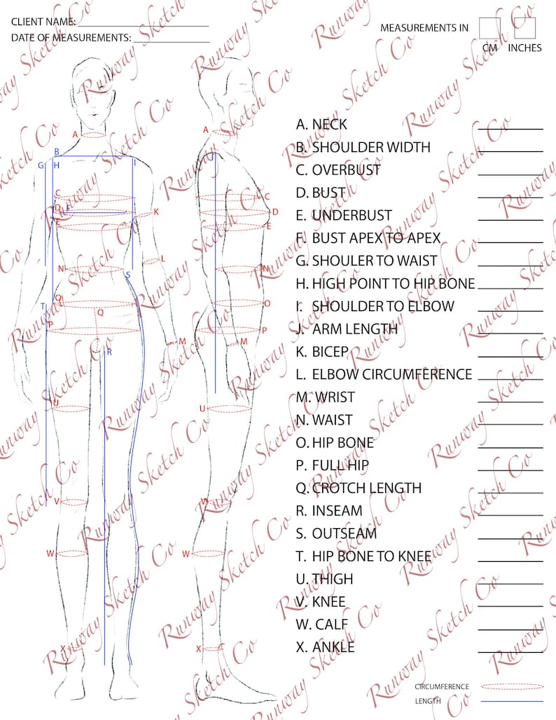 Women Measurement Chart | AI File and PDF | Editable & Downloadable - Etsy