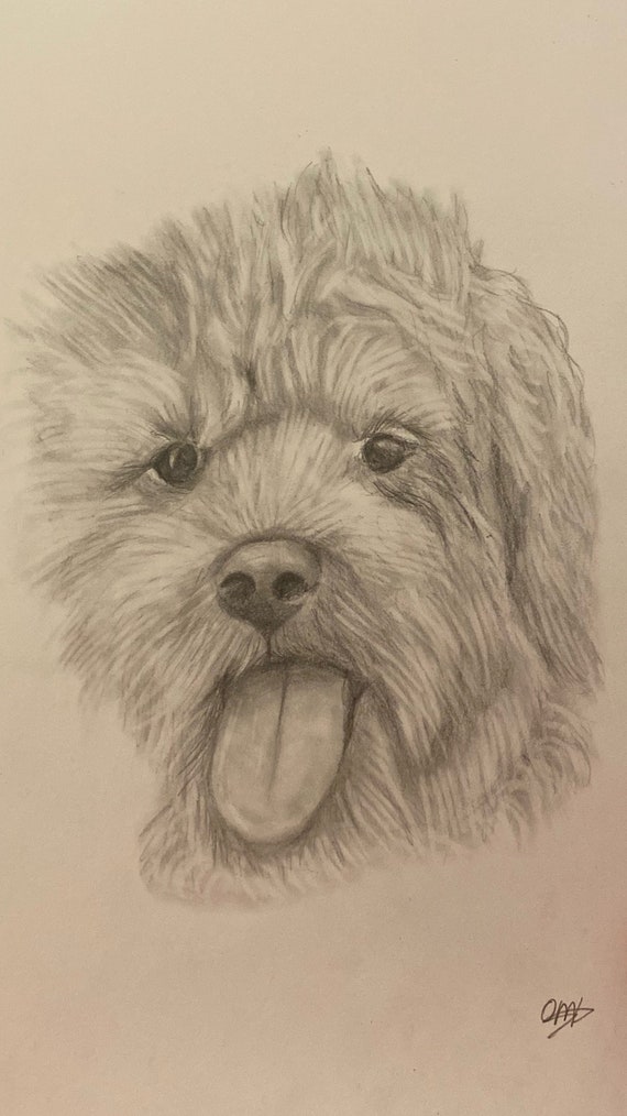 Pencil Pet Portraits | Etsy