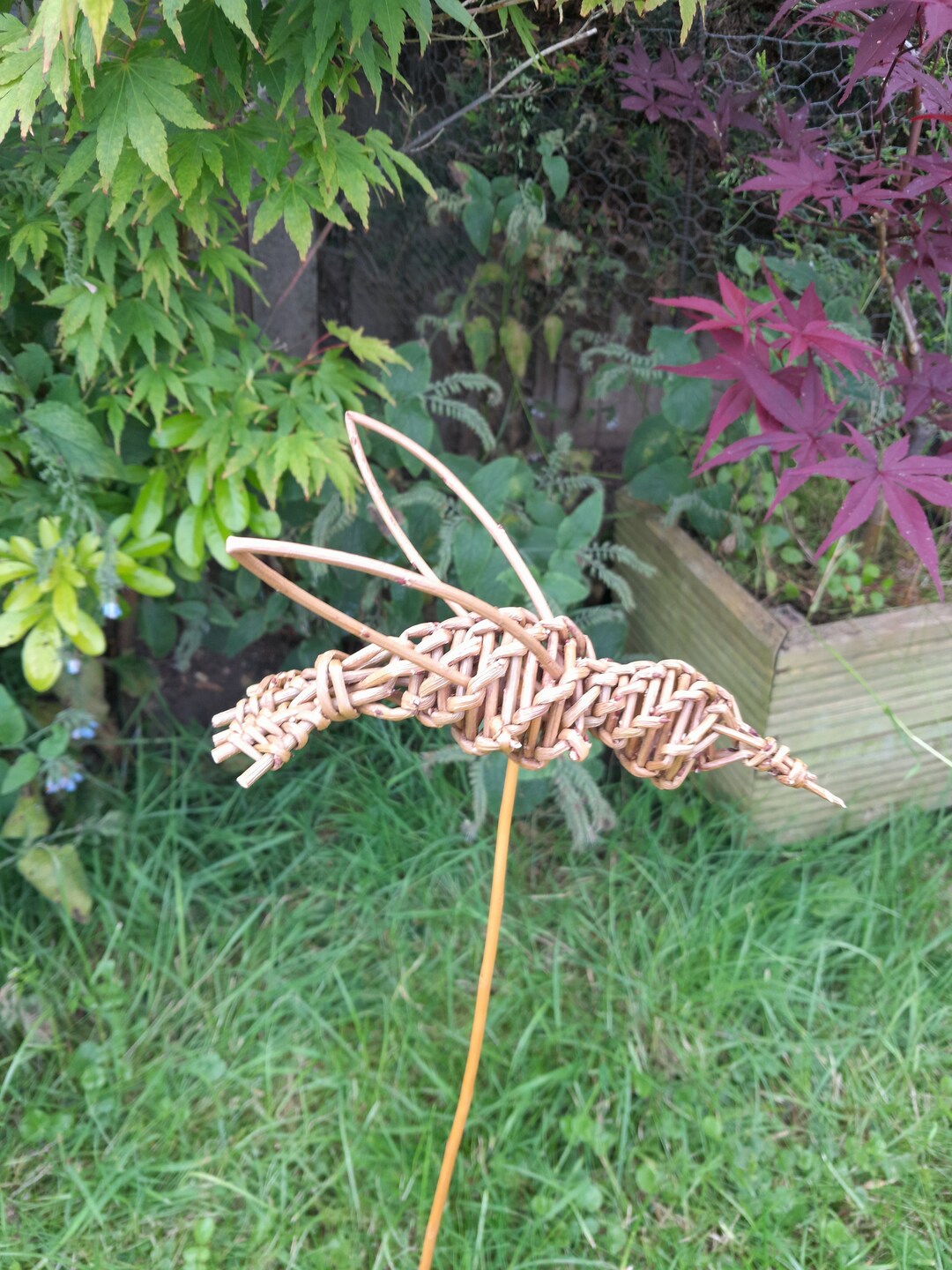 Willow Hummingbird, Eco-friendly Garden Art. Natural Hanging or Border ...