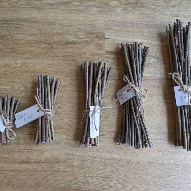 Bundle of Twigs - Etsy UK