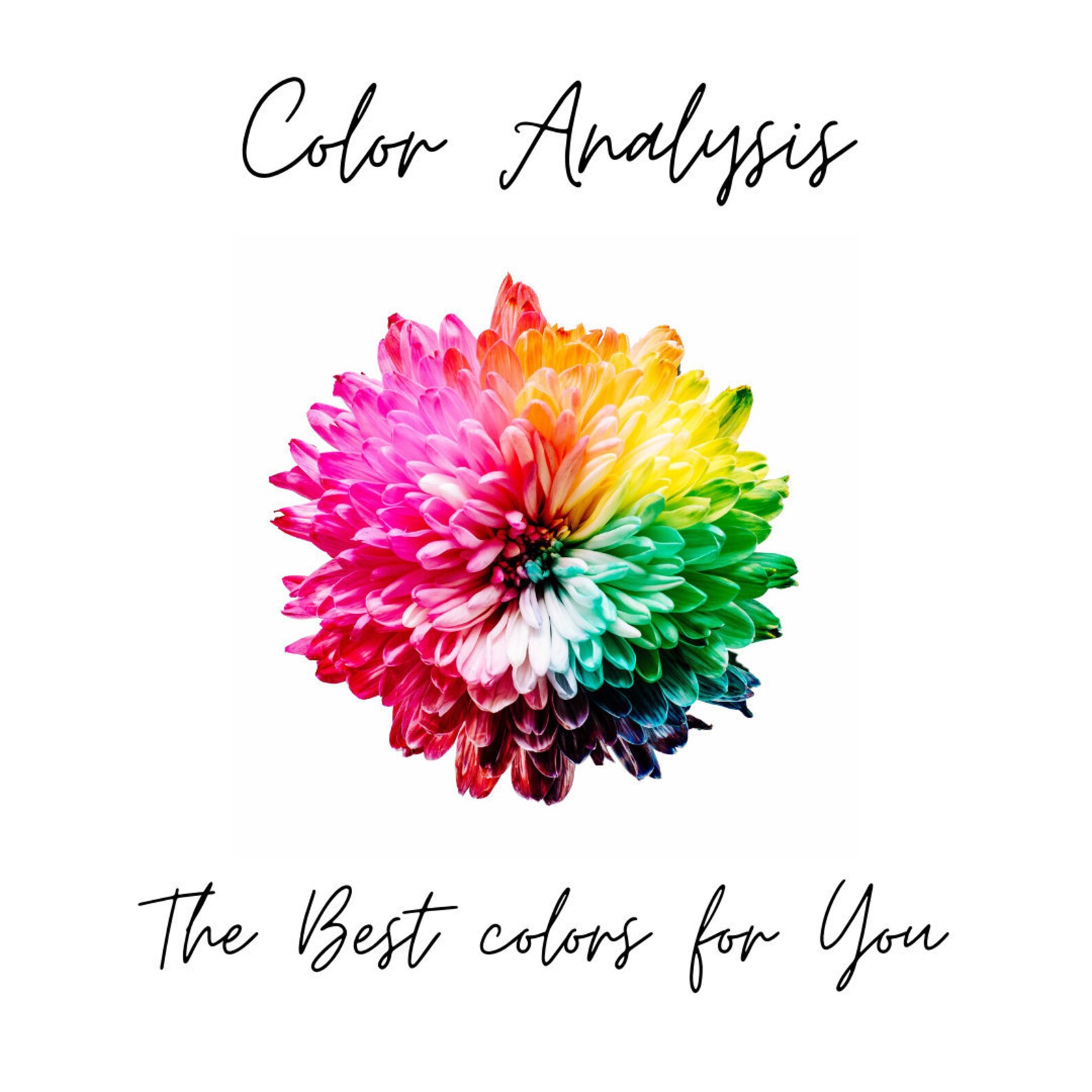 Color Analysis Personal 12 Season Colors Virtual Color | Etsy
