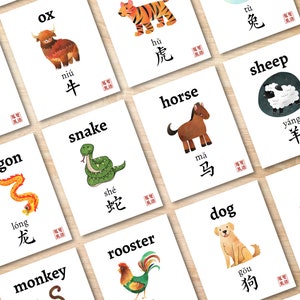 Chinese Zodiac Animals Signs Flashcards Kids Bilingual Cards | Etsy