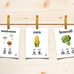 Vegetable Food Chinese Flashcards Kids Veggie Bilingual Cards ...