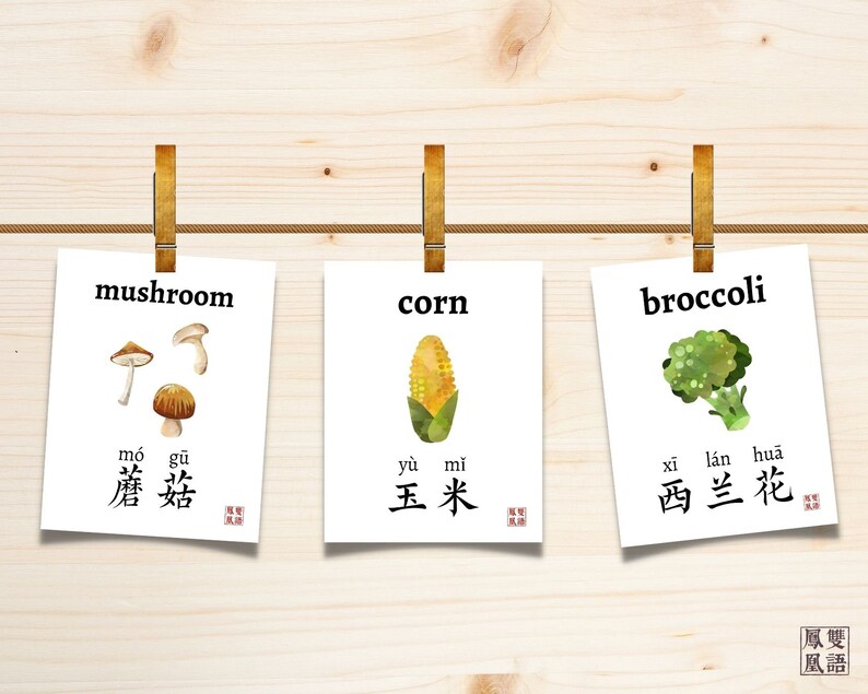 Vegetable Food Chinese Flashcards Kids Veggie Bilingual Cards ...