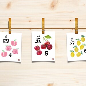 Number Cards Flashcards 1-10 Simplified Chinese Pinyin Homeschool ...